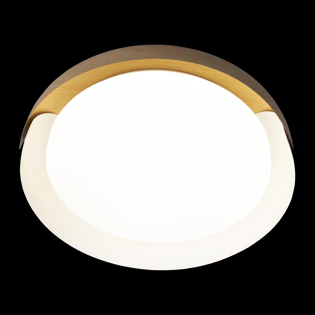 Потолочный светодиодный светильник Loft IT Coin 10198 White ...
